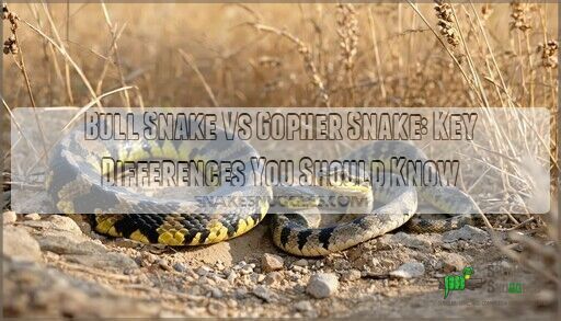 Bull Snake Vs Gopher Snake: Key Differences You Should Know