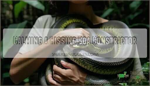 Why is My Boa Constrictor Hissing? 7 Causes & Quick Solutions