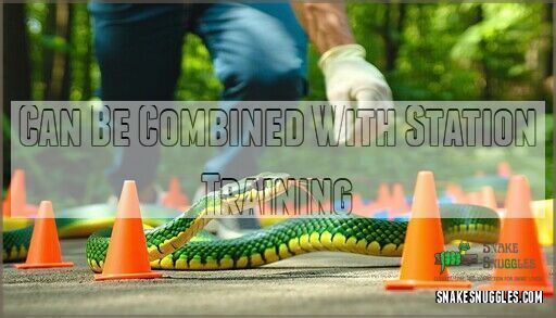 Can You Train a Snake? Surprising Facts About Snake Intelligence