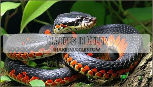 Signs of Snake Mating Behavior: 10 Fascinating Courtship Secrets