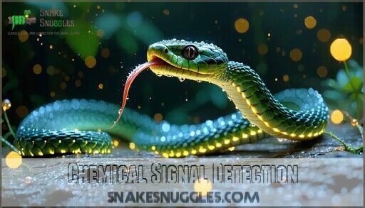 Do Snakes Have a Sense of Taste? Science Behind Snake Senses