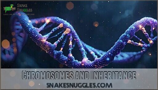 Snake Breeding Genetics: Master Inheritance Patterns Like a Pro in 2024!