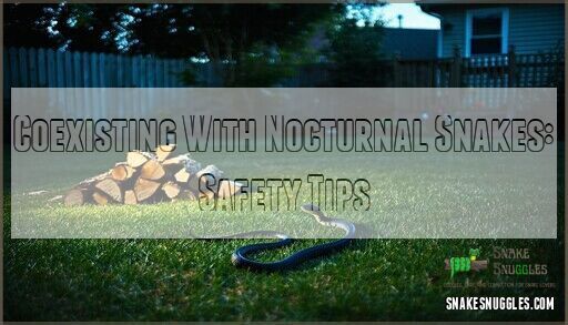 Where Do Snakes Go at Night? Exploring Their Secret Evening Habits