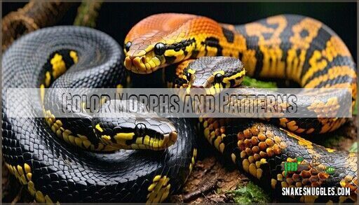 Morphs Boa Constrictor Value Increase: Rare Genetics Drive Prices Up