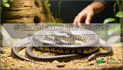 Do Hognose Snakes Make Good Pets? Complete Care Guide 2025