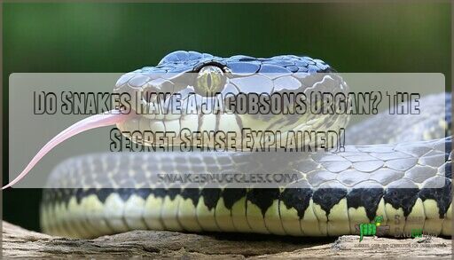 Do Snakes Have a Jacobsons Organ? The Secret Sense Explained!