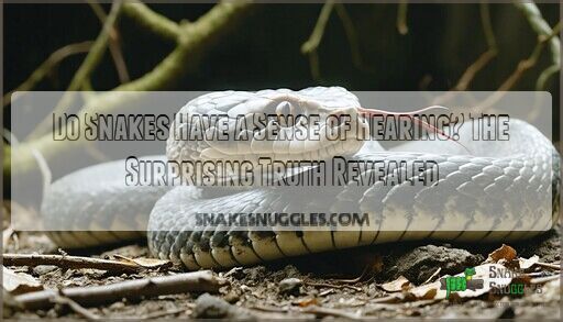 Do Snakes Have a Sense of Hearing? The Surprising Truth Revealed