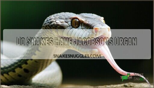 Do Snakes Have a Jacobsons Organ? The Secret Sense Explained!