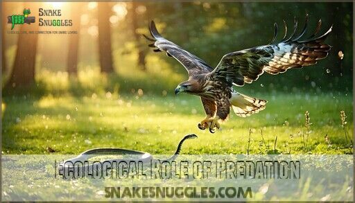 What Eats Snakes: 15 Fierce Predators That Hunt Serpents (Photos)