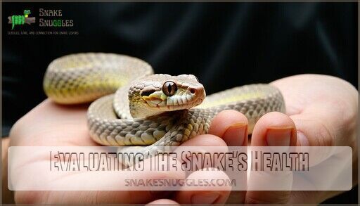 How to Adopt a Corn Snake: Complete Guide + Costs & Care Tips