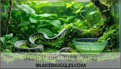 Corn Snake Feeding Chart: Best Practices for Healthy & Happy Snakes