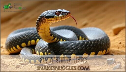 Hognose Snake Personality Traits: Quirky Behaviors & Temperament