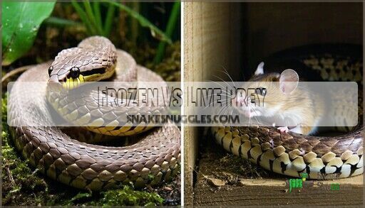 Corn Snake Feeding Chart: Best Practices for Healthy & Happy Snakes