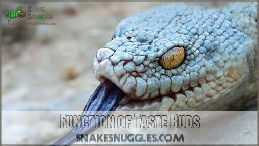 Do Snakes Have a Sense of Taste? Science Behind Snake Senses