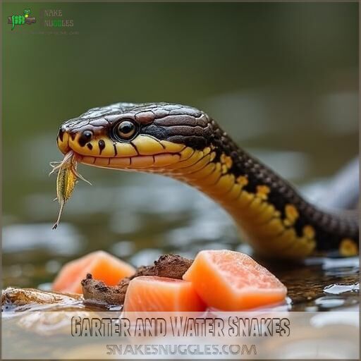 How to Feed a Snake Quail: Safe Feeding, Nutrition & Species Guide