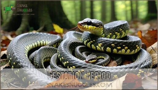 Snakes With Live Babies: 10 Species That Don't Lay Eggs (Photos!)