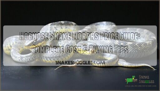 Hognose Snake Morphs Complete Guide: Types, Prices, Care & Breeding Tips