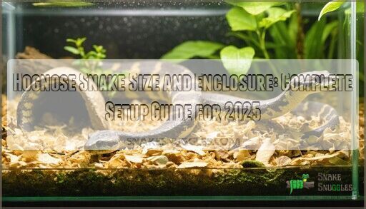 Hognose Snake Size and Enclosure: Complete Setup Guide for 2025