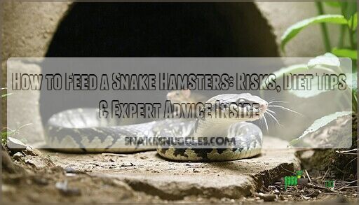 How to Feed a Snake Hamsters: Risks, Diet Tips & Expert Advice Inside
