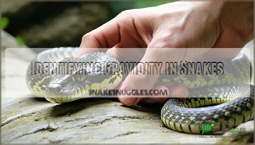 Signs Your Snake is Gravid: 7 Key Indicators Every Owner Needs