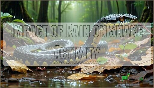 Where Do Snakes Go When It Rains? You'll Be Shocked by Their Hideouts
