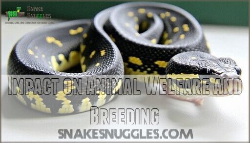 Python Morphs With Wobble: The Truth About Spider Ball Pythons