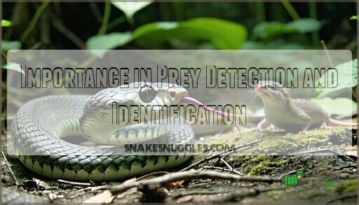How Do Snakes See Objects Clearly? The Surprising Science Revealed