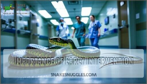 Krait Snake Neurotoxin Mechanism: How Deadly Venom Paralyzes Victims