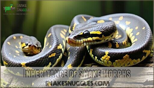 Snake Breeding Genetics: Master Inheritance Patterns Like a Pro in 2024!