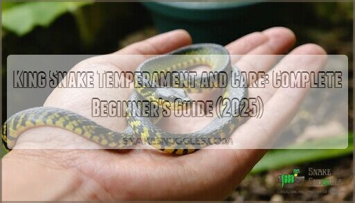 King Snake Temperament and Care: Complete Beginner's Guide (2025)