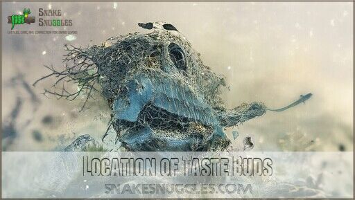 Do Snakes Have a Sense of Taste? Science Behind Snake Senses