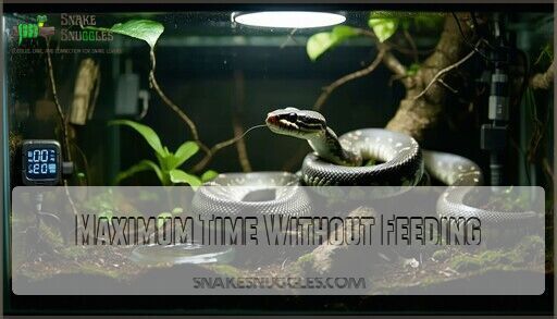 How to Feed a Snake at Night: Safe Nocturnal Feeding Guide 2025
