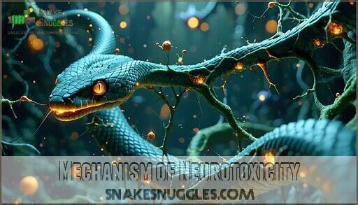 Krait Snake Neurotoxin Mechanism: How Deadly Venom Paralyzes Victims