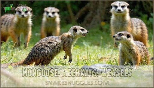 What Eats Snakes: 15 Fierce Predators That Hunt Serpents (Photos)