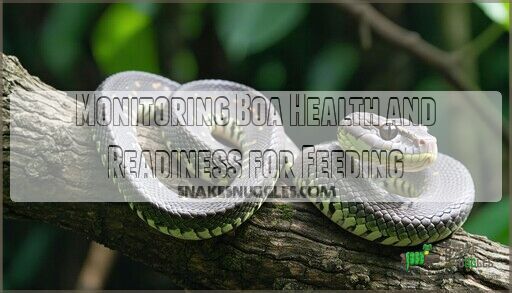 How Often to Feed Boa Constrictors: Complete Schedule & Size Guide