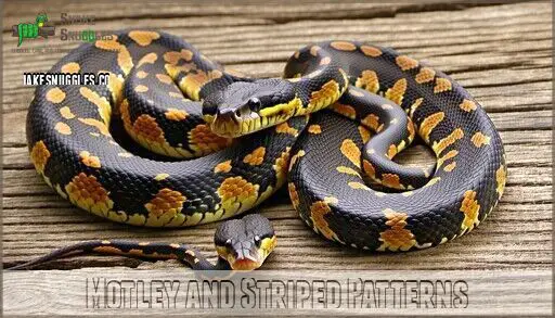 Corn Snake Color Genetics Explained: 50+ Morphs & Breeding Guide