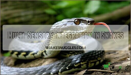 How Do Snakes See Clearly? The Truth About Serpent Vision