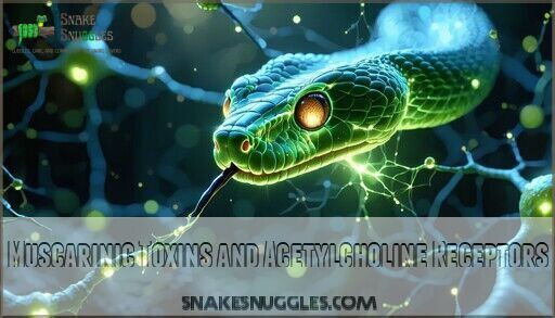 Mamba Snake Toxin Composition: Deadly Neurotoxins & Medical Breakthroughs