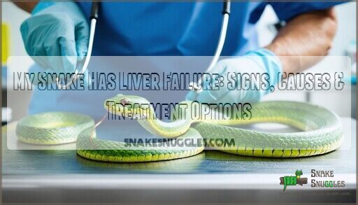 My Snake Has Liver Failure: Signs, Causes & Treatment Options