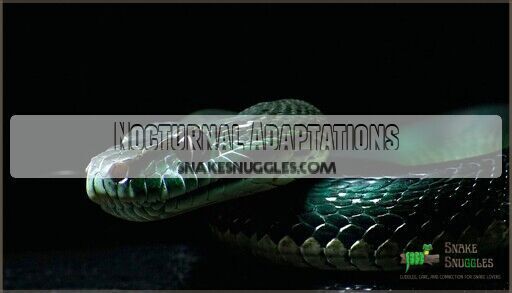 Do Snakes Have Good Eyesight? The Shocking Truth About Snake Vision!