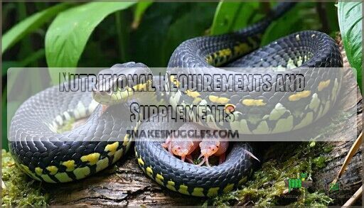 King Snake Temperament and Care: Complete Beginner's Guide (2025)
