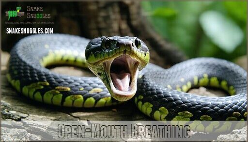 Snake Breathing Problems Signs: Critical Warning Symptoms to Watch