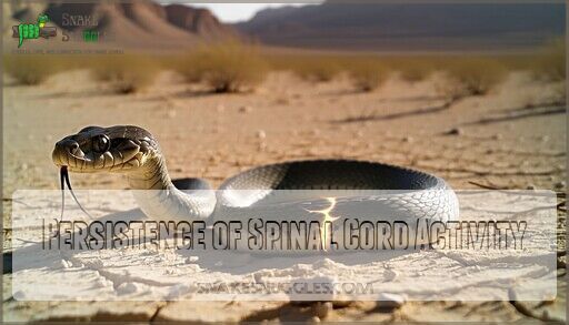 Snake Moving After Death: Why It Happens and How Long It Lasts