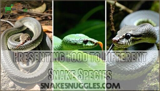 How to Feed a Snake Using Tongs: Safe Step-by-Step Guide