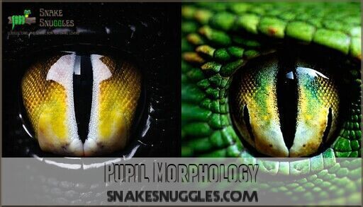 How Do Snakes See at Night? Thermal Vision Secrets Revealed!