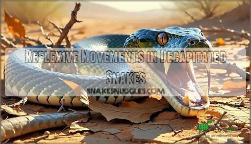 Snake Moving After Death: Why It Happens and How Long It Lasts