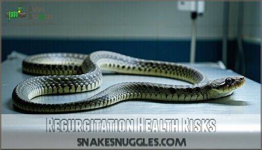 Snake Regurgitated Food What to Do: Expert Care Guide for Recovery