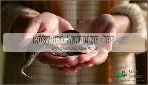 Rosy Boa Enclosure Guidelines: Size, Setup & Care Tips for Owners