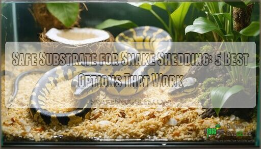 Safe Substrate for Snake Shedding: 5 Best Options That Work