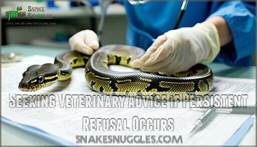 Ball Python Besides Mice: 7 Safe Alternatives & Feeding Chart